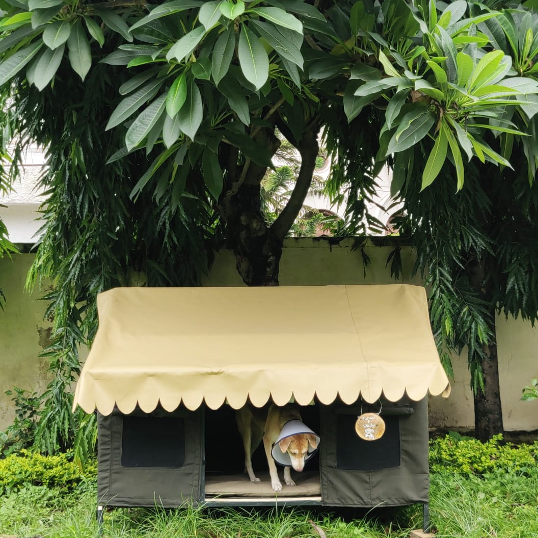 Outdoor Tent – woofroofofficial